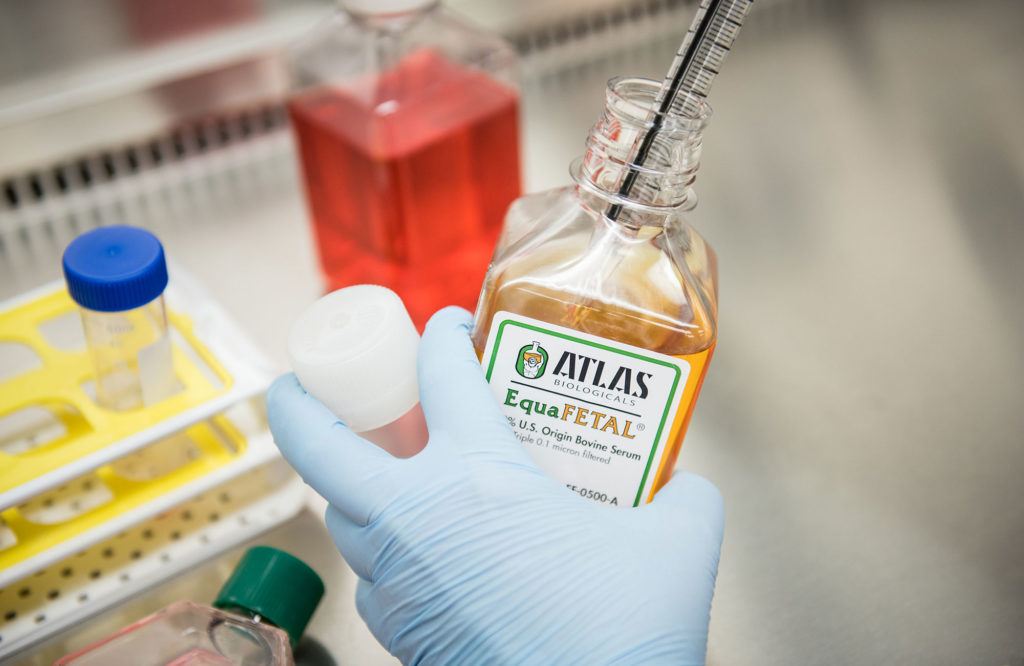 Atlas Biologicals - 100% U.S. Fetal Bovine Serum & EquaFetal BioEquivalent